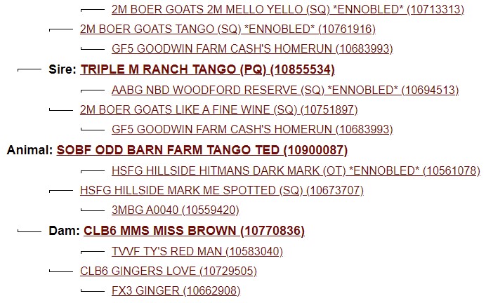 10,000 Lakes Boer Goat Sale (51-60) – GoatPromoter.com