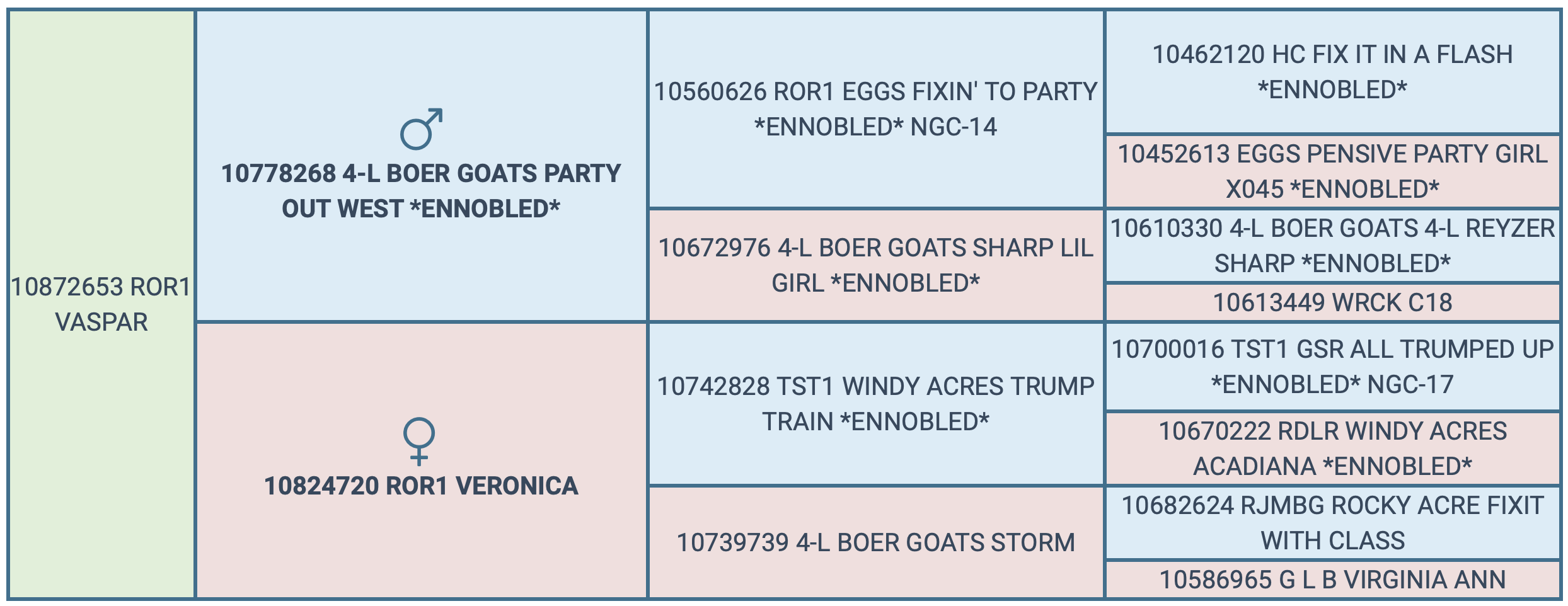 The Cowboy Classic Boer Goat Sale (51-60) – GoatPromoter.com